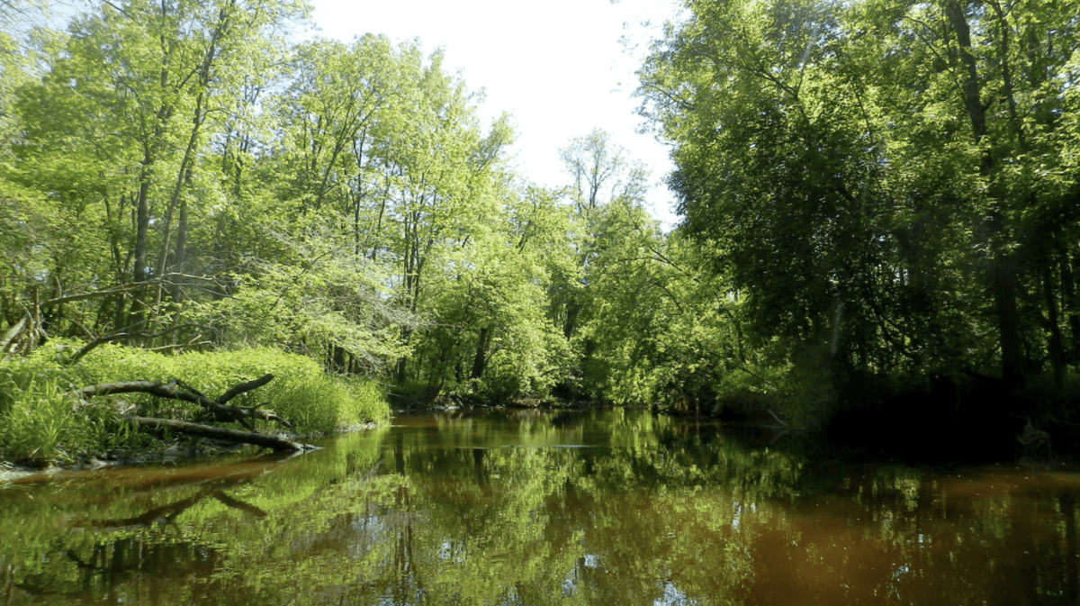 Catholic Ecology Center Opens in New Home - Catholic Herald