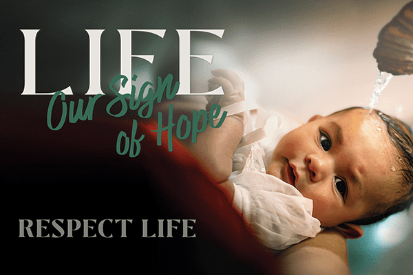 Building a Culture of Life in Our Parishes - Catholic Herald